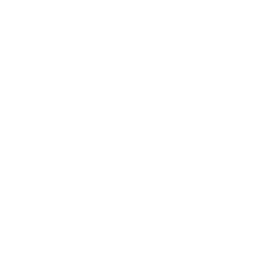 Investment Strategy - Chicago Global